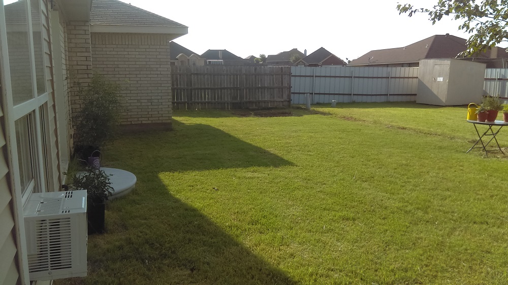 Our new, greatly enlarged back yard – bayourenaissanceman.com