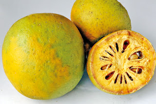 Beli / බෙලි / Bilva / Aegle marmelos / Bengal Quince / Bilva, Śandilya ...