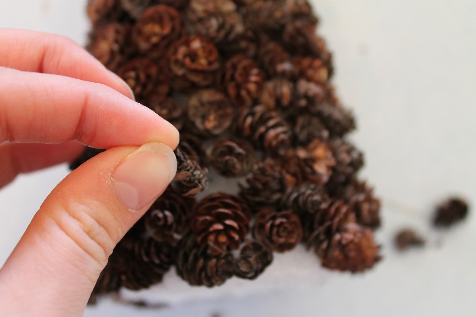 Cook and Craft Me Crazy: Pine Cone & Berry Tree (Christmas Round-Up)
