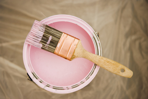 ACTUAL Y CURIOSO: El color rosa no existe