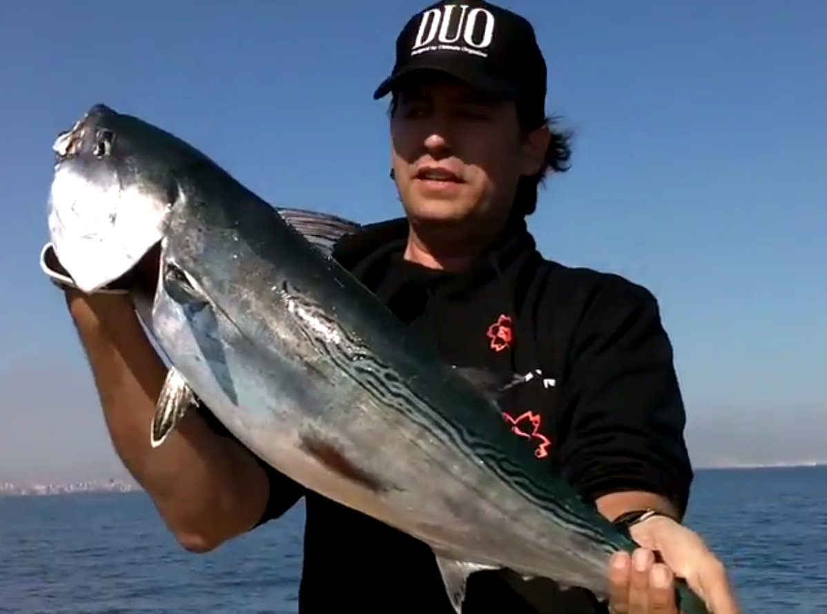 COMO PESCAR CON CALAMAR VIVO