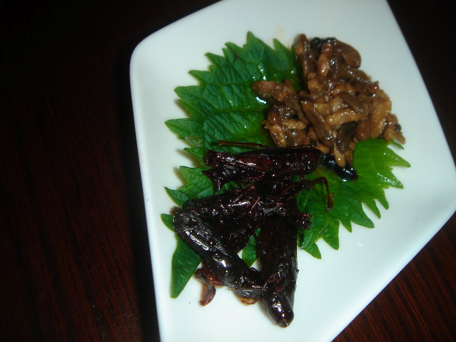 The not so extraordinary life of Jonas in Sapporo: Weird or disgusting ...