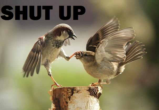 My American Confessions: Extras: SHUT UP!