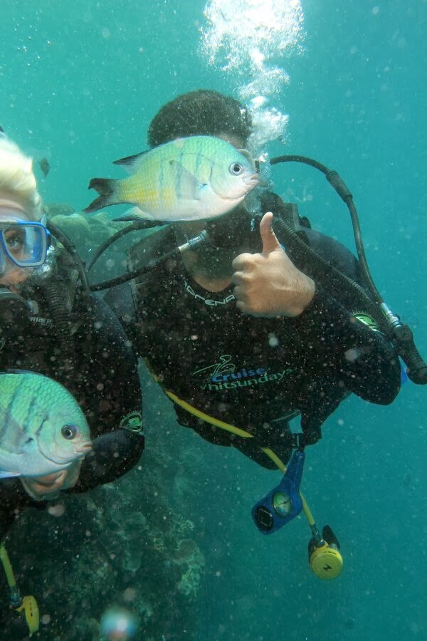 Funny animals of the week - 10 January 2014 (35 pics) | Amazing Creatures