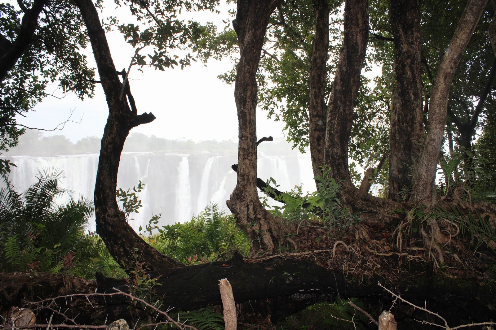 Fikatours: Zimbabwe, Viktória-vízesés