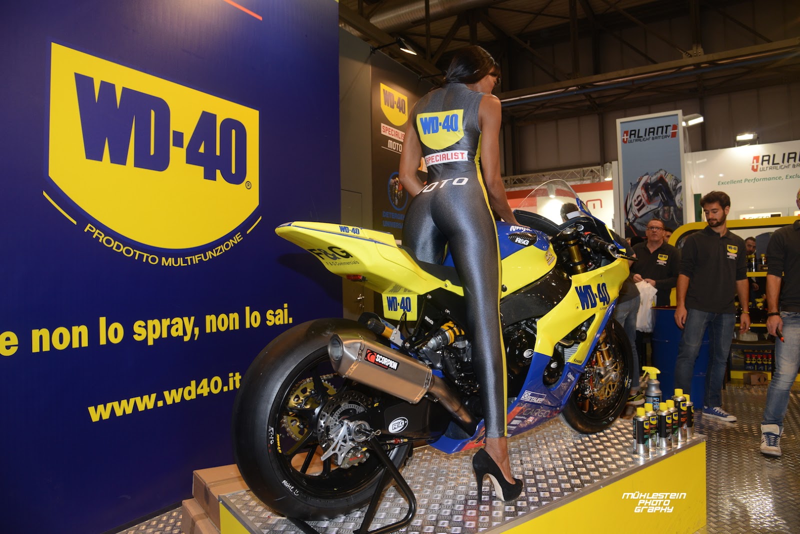 Eicma 2015 Wd 40 Girl Part1