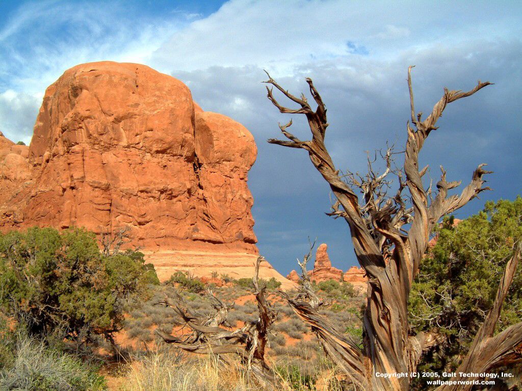 Stuff Corner: Amazing photos of the real Nature