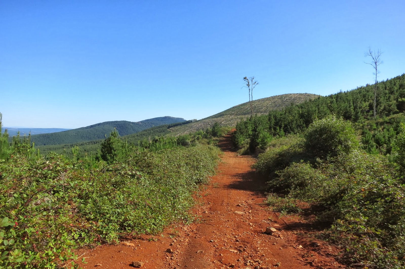 VK1DI's Blog: SOTA Activation Yankee Ned Hill