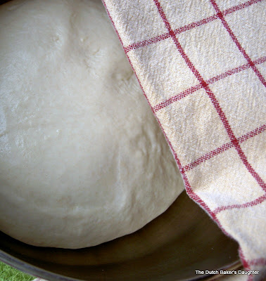 The Dutch Baker's Daughter: Pretzel Buns