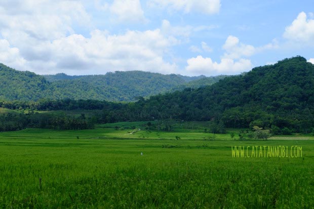 Gambar Pemandangan Sawah Di Pagi Hari - Gambar Pemandangan Indah