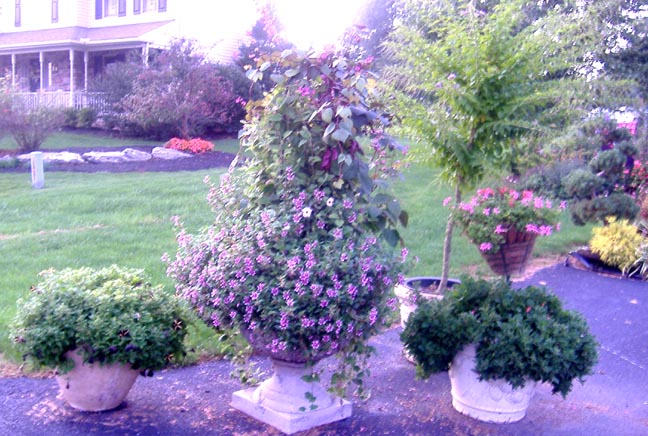 Quilted Nest: Driveway Planters...