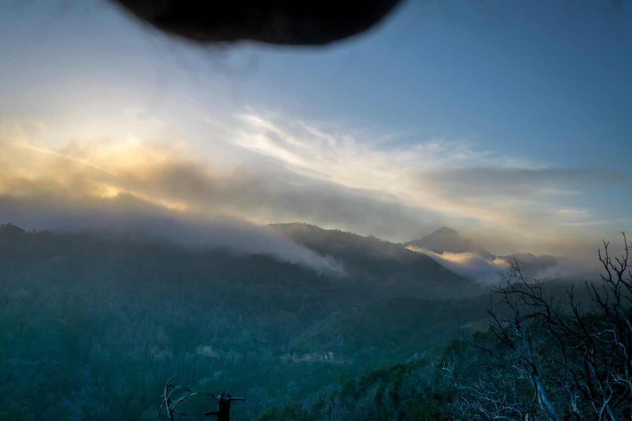 Desprès de; des dels meus ulls: Nutscaping