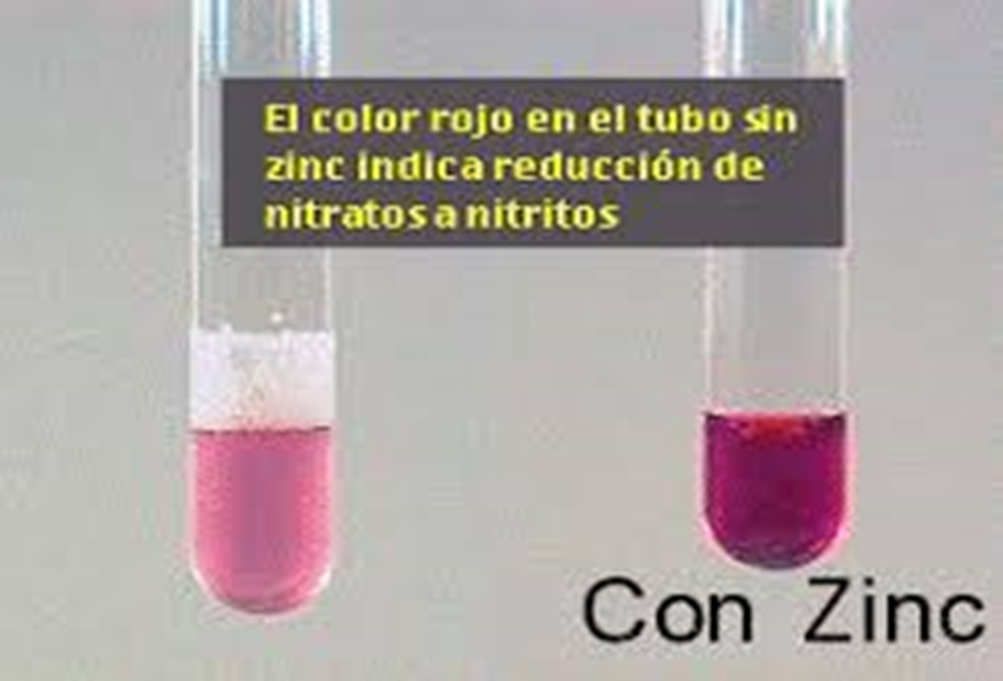 LABORATORISTA CLINICO: noviembre 2014