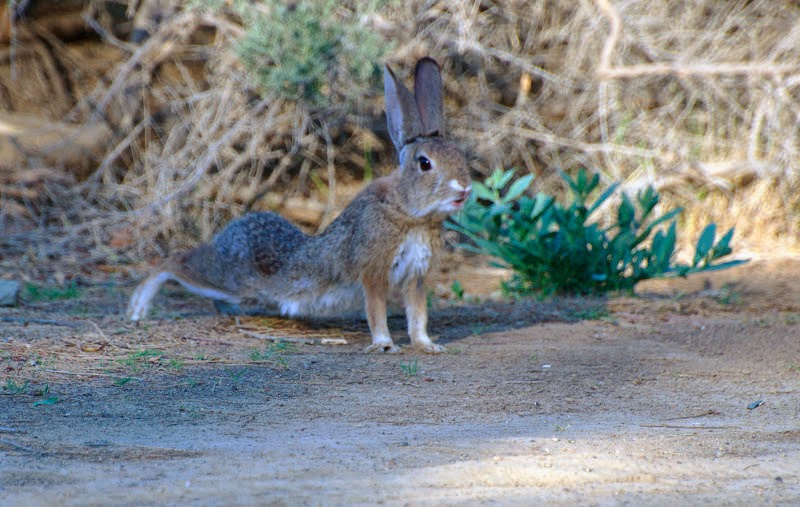 SUNFLOWER SNAPS: The Ride Home