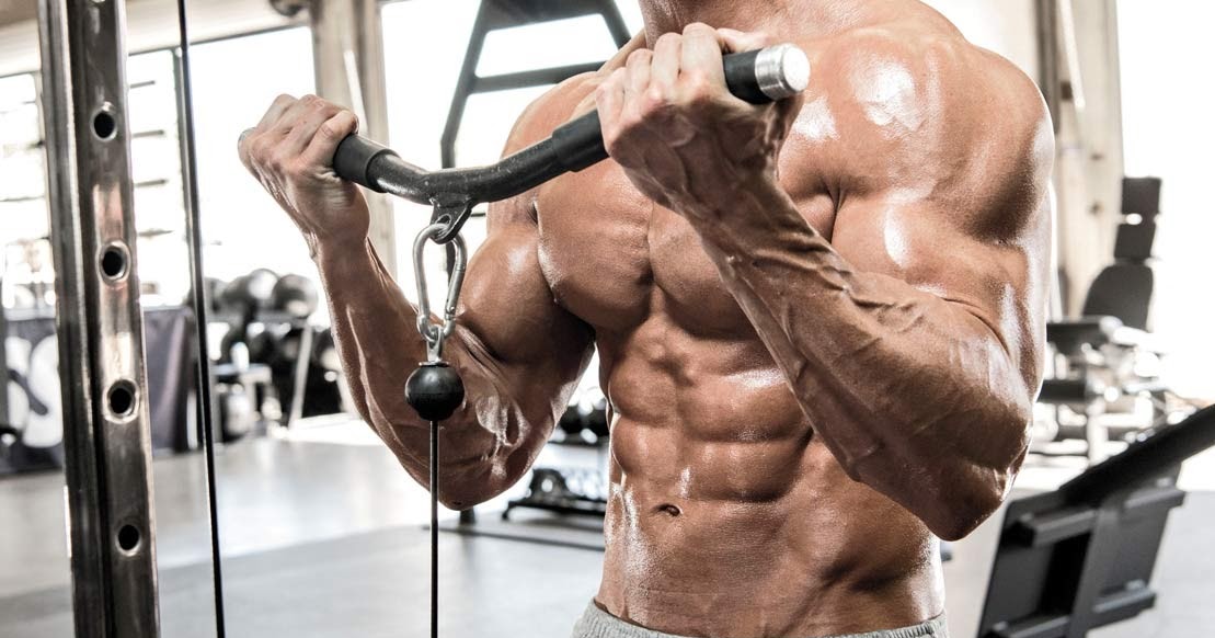 Fitness Gym Mania: Membangun otot biceps