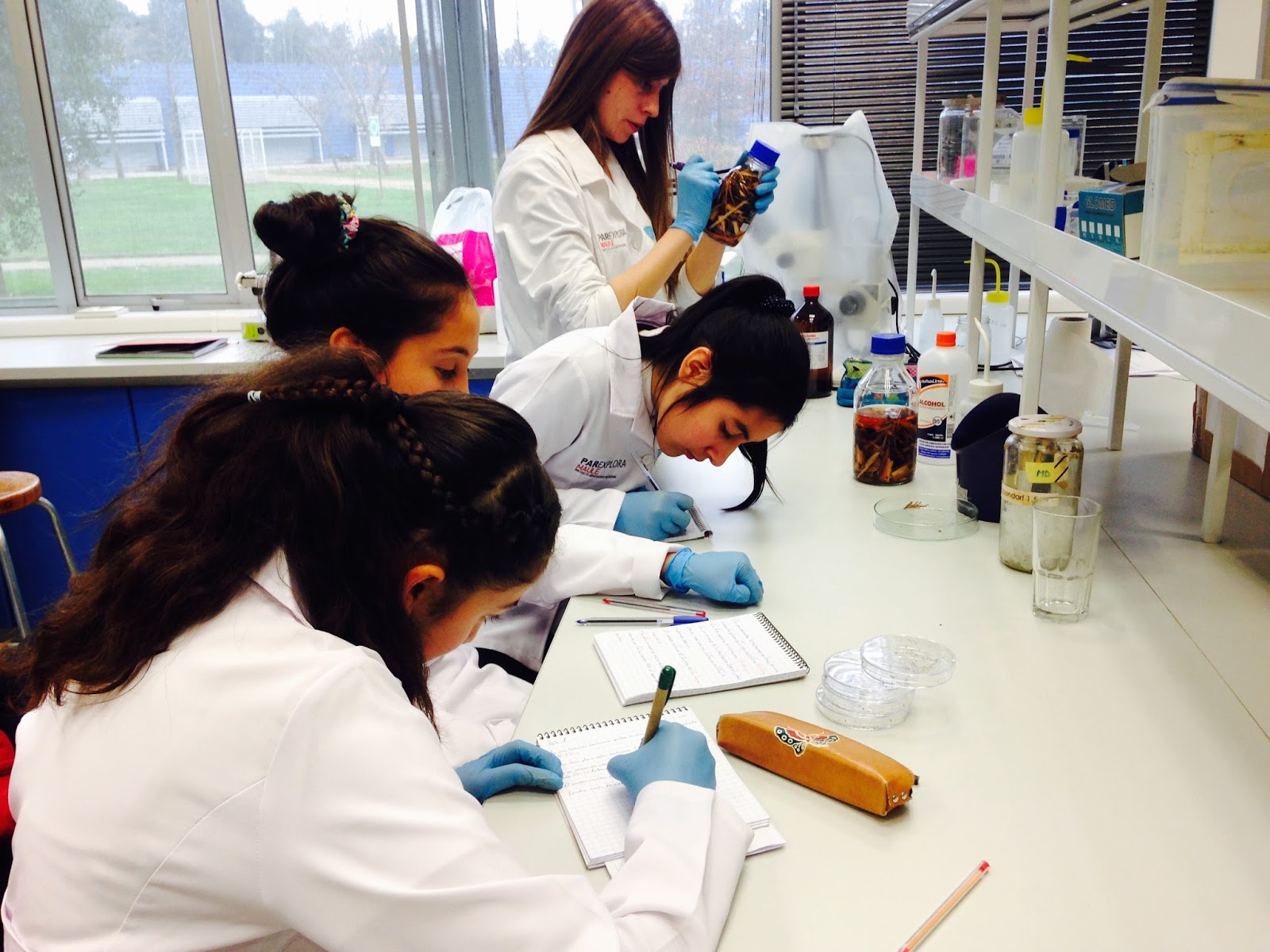 Blog Desde Parral en Chile: CIENTÍFICOS ESCOLARES SE FORMAN EN LA ...