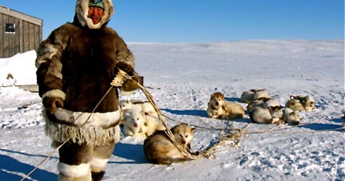 Gietjes Weetjes: Noord- versus Zuidpool