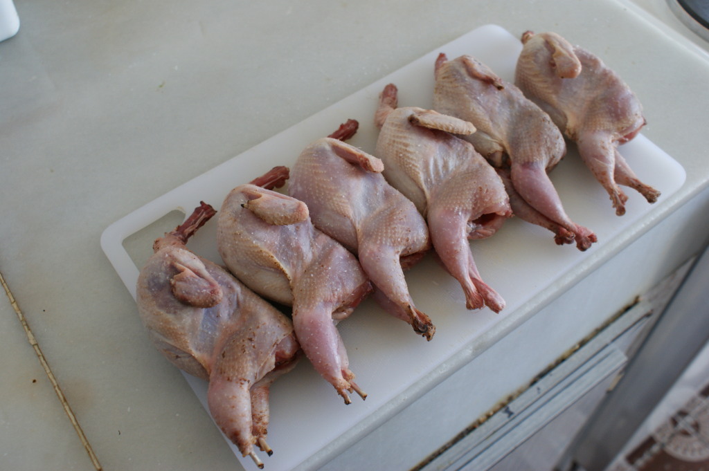 Recetas de cocina del chef Antuan: Codornices guisadas