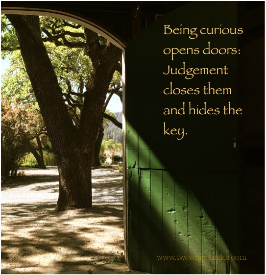 The Liberal Pulpit: More Curiosity, Less Judgment