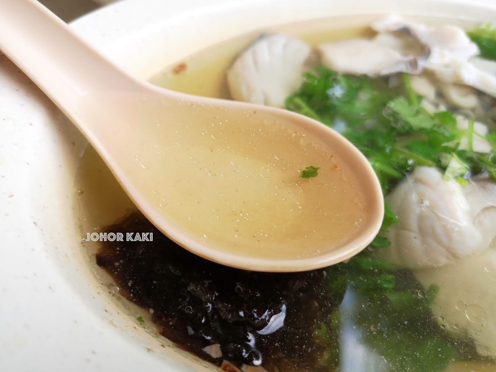 Hong Qin Duck Porridge, Fish Soup & Braised Pork Trotters 鸿勤鱼粥.鸭粥 |Tony ...