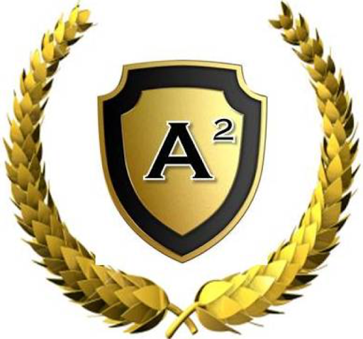 Viking Update Alpha Academy Mentoring And Scholarship Program