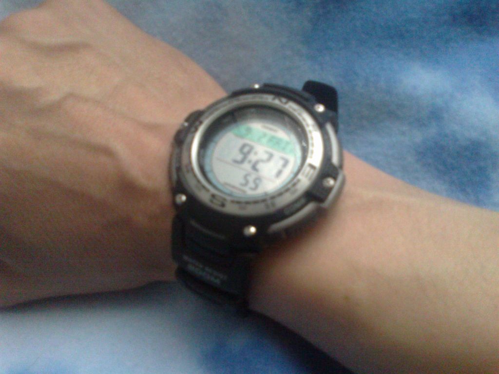 Zona Casio: Prueba: Casio SGW-100