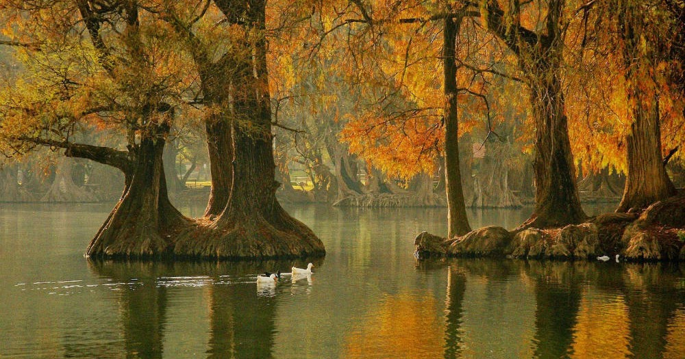 Español y Literatura CEUJA 2017: Camécuaro, El lago de lágrimas