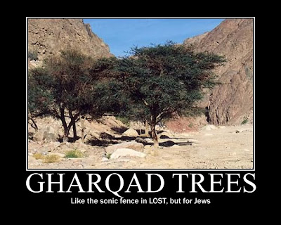 TELEKUNG PUTIH: GHARQAD TREE - POKOK YAHUDI