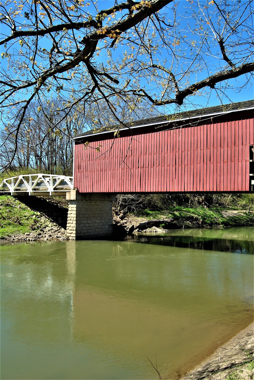 Illinois Covered Bridges - Wolf