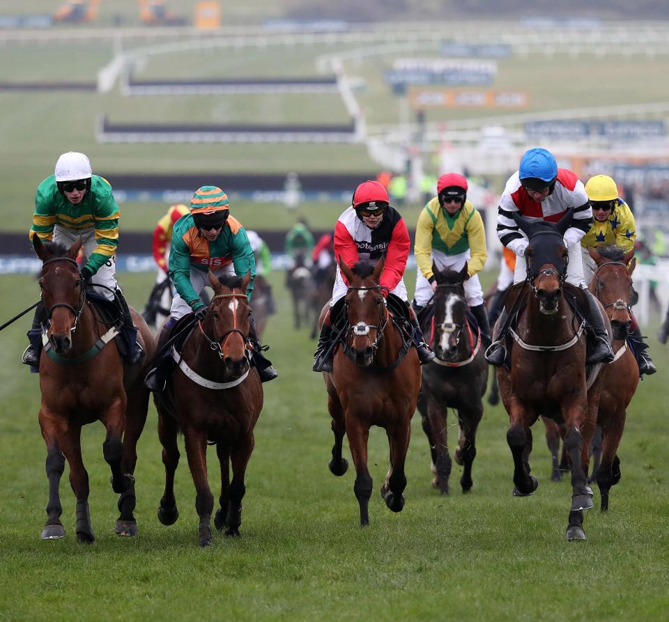 Cheltenham Roar: Cheltenham Festival - Foxhunter Chase