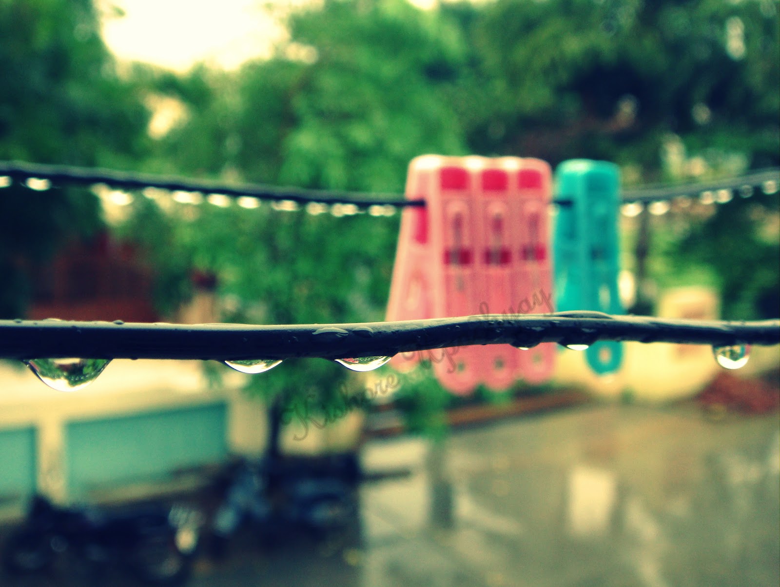 Follow your passion.....: Object Photography - Close up