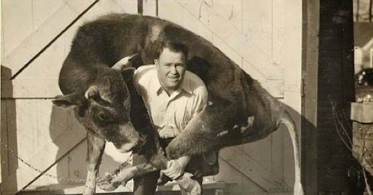 LarryWalkemeyer.com: Lifting the Bull