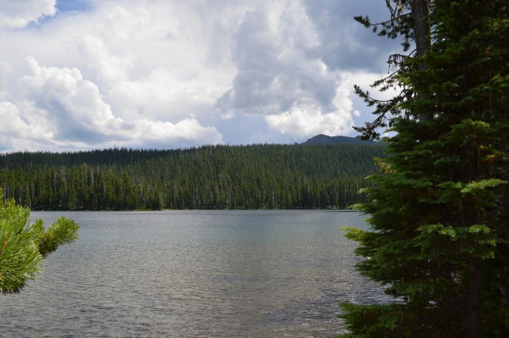 into the wild oregon