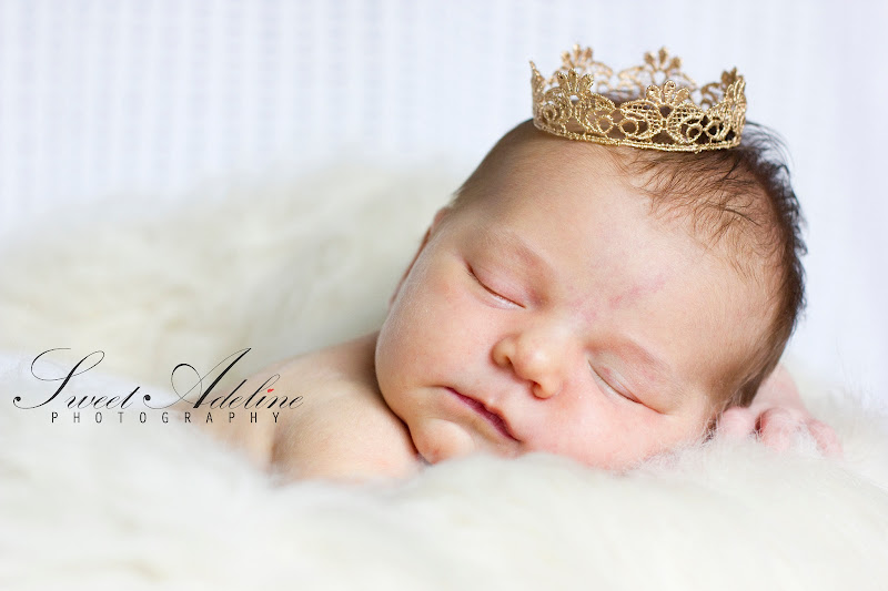 Sweet Adeline Photography