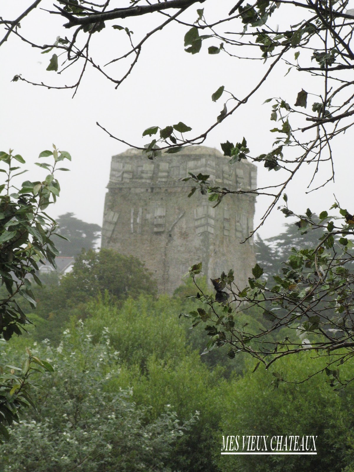 MES VIEUX CHATEAUX: Le château de Trémazan
