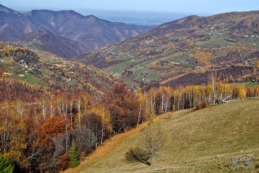 Muntii Gilau - Unde-s multi, muntele creste!