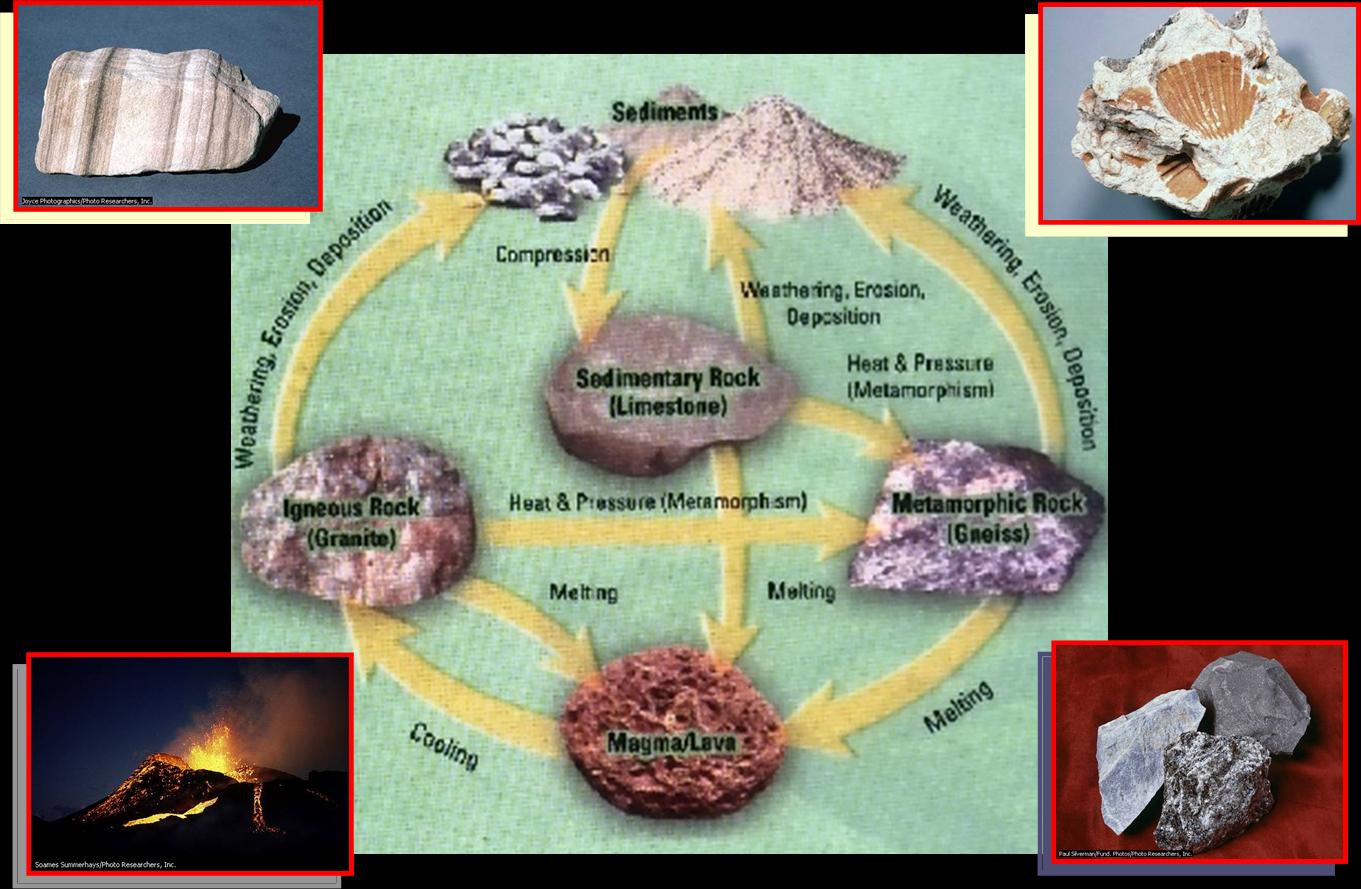 All About Sedimentology: Definisi Sedimentologi dan Batuan Sedimen