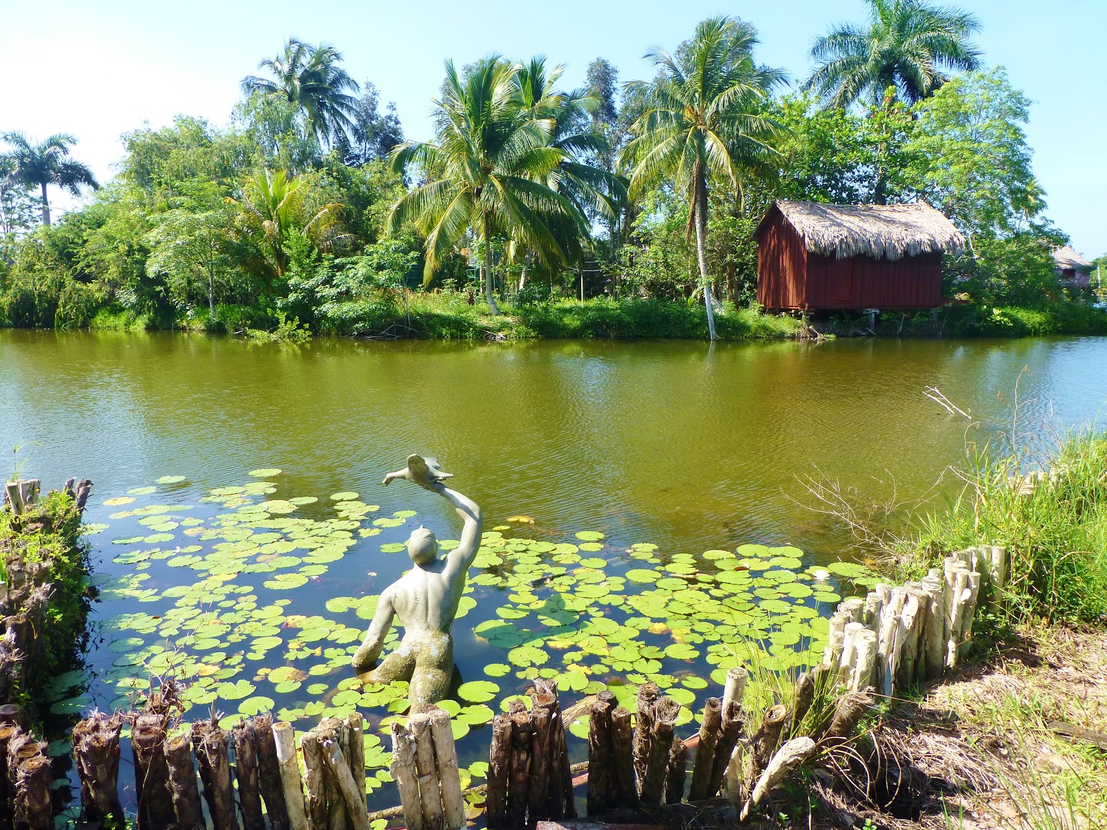 Carretera y manta. Viajes y caminatas: Ciénaga de Zapata, Cuba