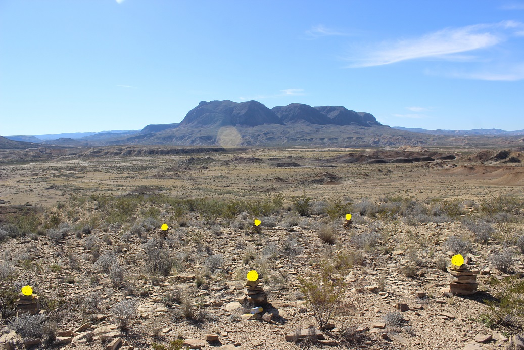The Field Lab: the building site...