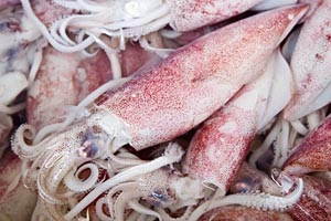 Siargao Island Product: Dried Fish and Sea Foods