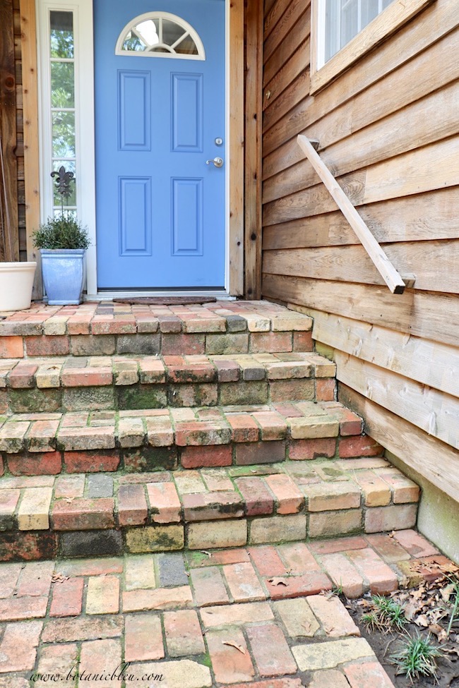 Botanic Bleu: Fall Entry Garden Curb Appeal