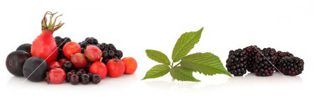 Berry fruit that has many benefits - Healthiest Fruits