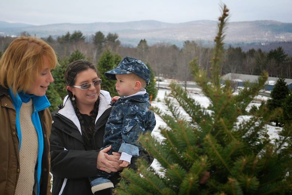 The Rocks Estate: 2014