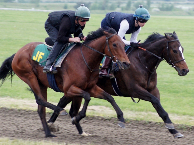 Julia Feilden Racing