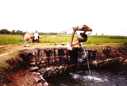 Pagar Museh: Ancient irrigation methods an admirable innovation