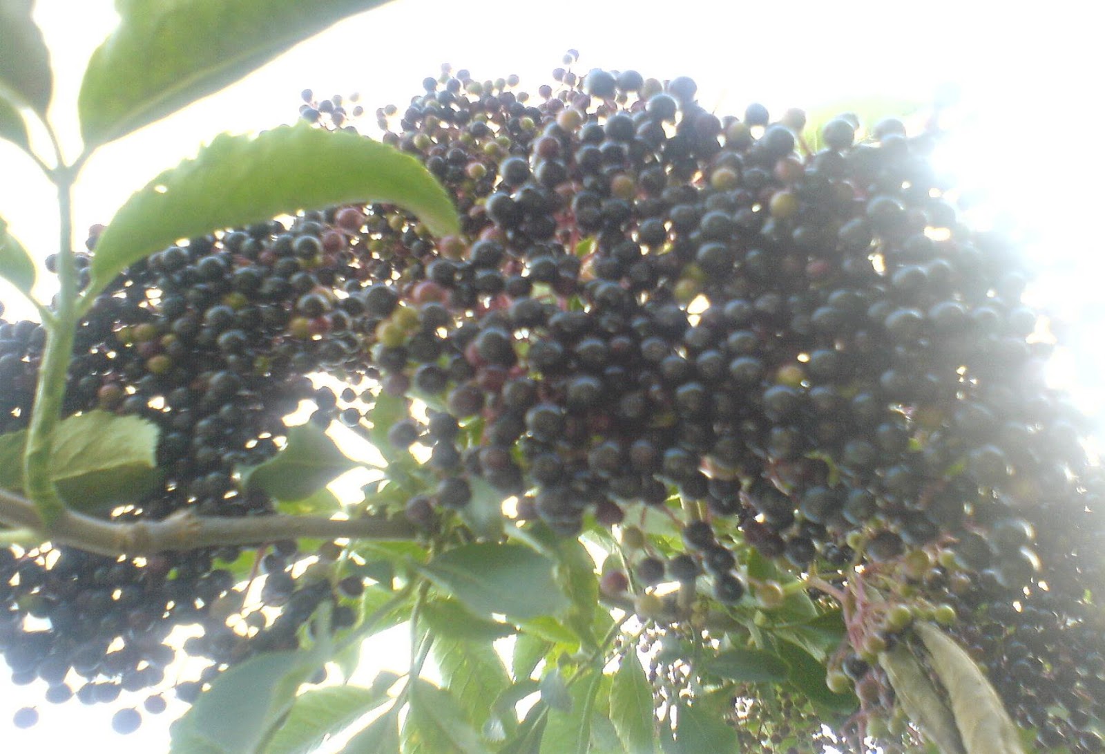 Socul | Preparatedevis.ro