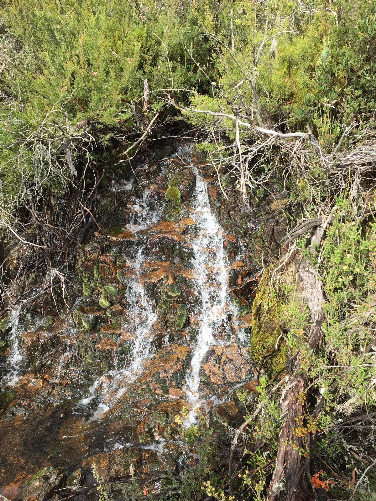 Phil's Bushwalking Blog: Namadgi National Park: Ginini Creek Waterfalls ...