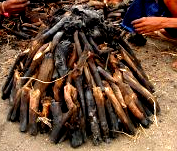 CARA MEMBUAT ARANG KAYU