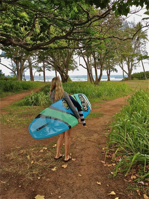 The Surf Art of Heather Brown: Hawai'i Artist Heather Brown Celebrates ...