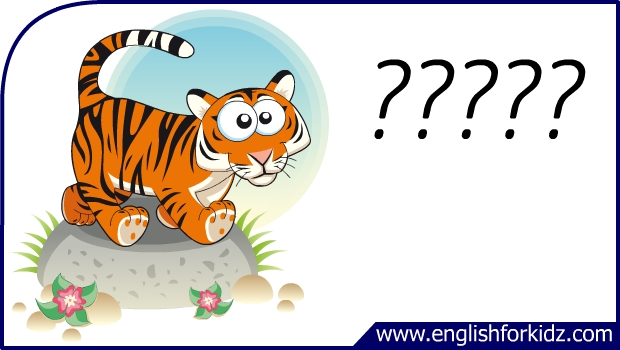 Wild Animals Flashcards